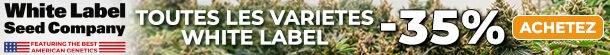 Bienvenue sur CannaWeed, le site dédié à la culture du cannabis.