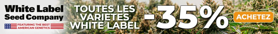 Bienvenue sur CannaWeed, le site dédié à la culture du cannabis.